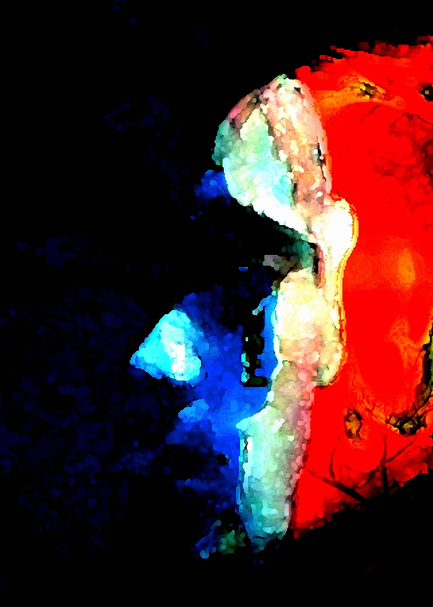 'Zak' Poster, picture, metal print, paint by ... enDKLé | Displate