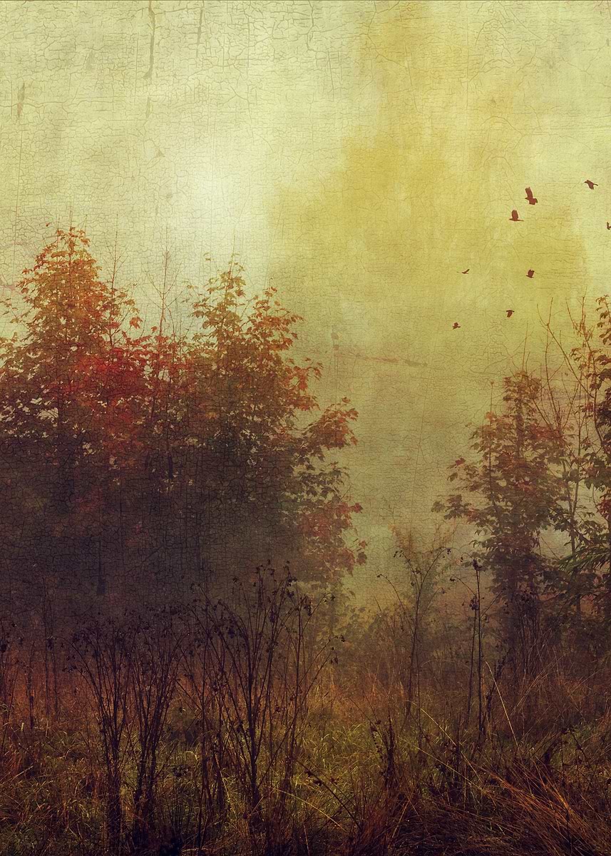 'Fall RustMisty landscape in fall' Poster, picture, metal print, paint ...