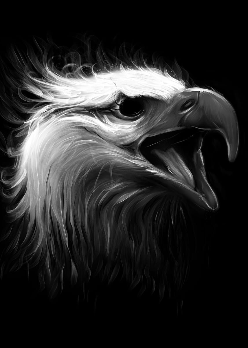 'Eagle Eye' Poster, picture, metal print, paint by Nicebleed | Displate