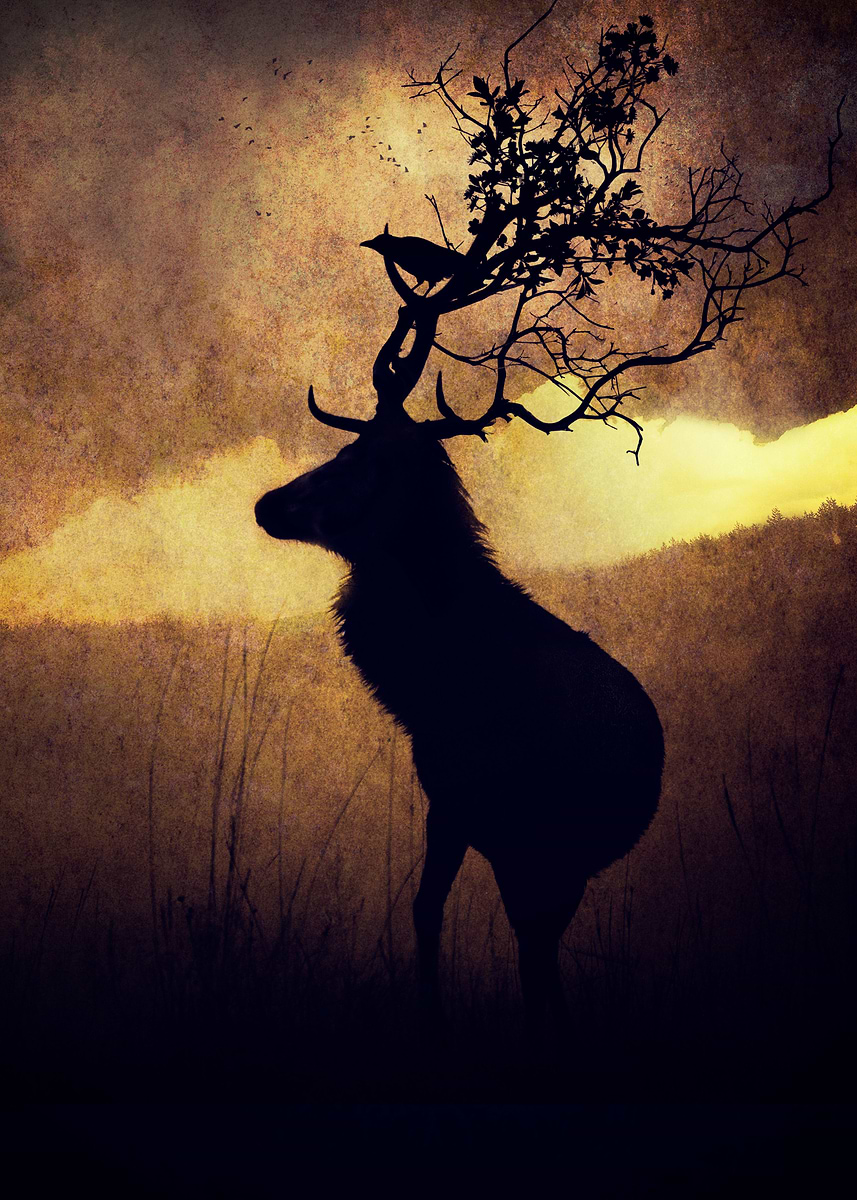 'Dusk' Poster, picture, metal print, paint by Ferruccio Lipari | Displate