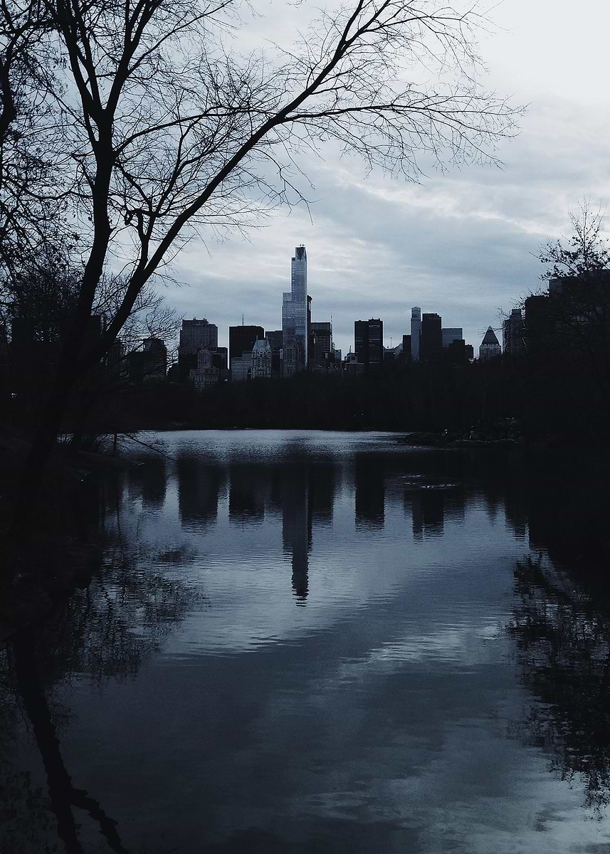 'Dark reflection' Poster, picture, metal print, paint by Dmitry Belov ...