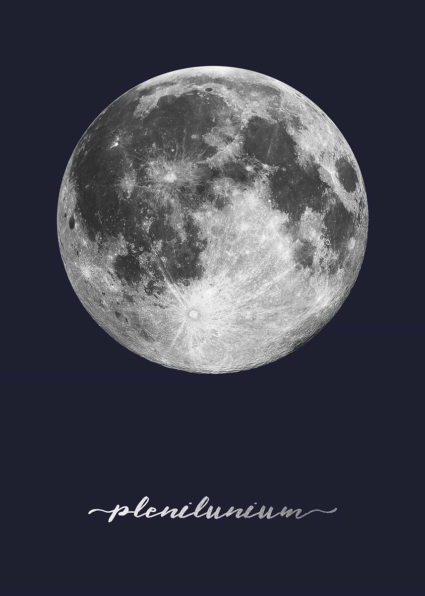 'Full Moon - Latin - On Navy Blue' Poster, picture, metal print, paint ...