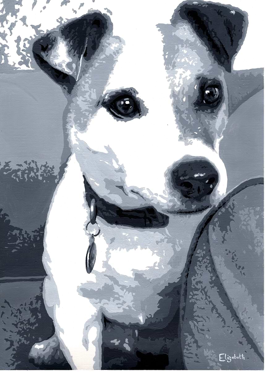 'Paddy the Jack Russell ' Poster, picture, metal print, paint by liz ...