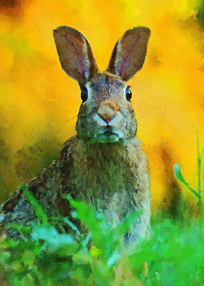 'Rabit' Poster, picture, metal print, paint by Gab Fernando | Displate