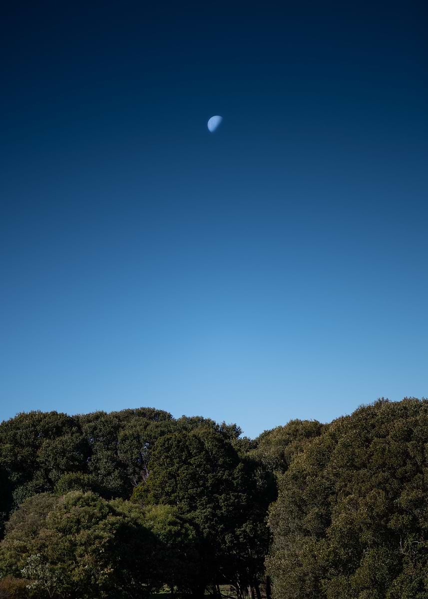 'Moon Man' Poster, picture, metal print, paint by Conaire Hewlett ...