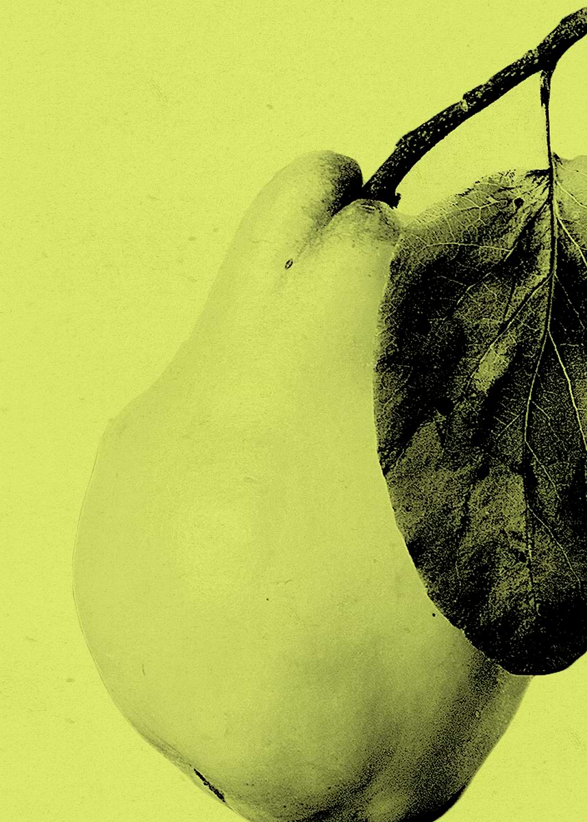 'Pear' Poster, picture, metal print, paint by NiBi Prints | Displate