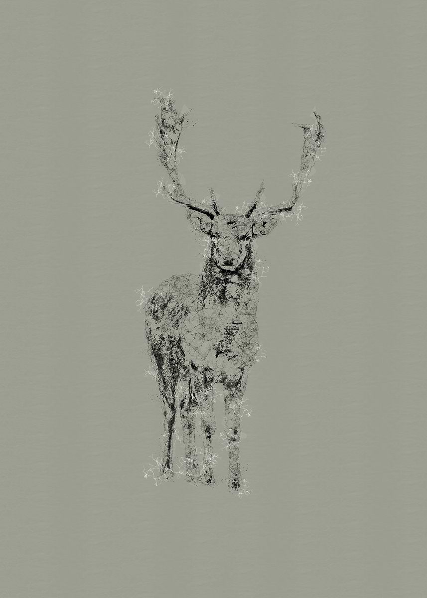'Deer' Poster, picture, metal print, paint by 4T4 Design Studio | Displate