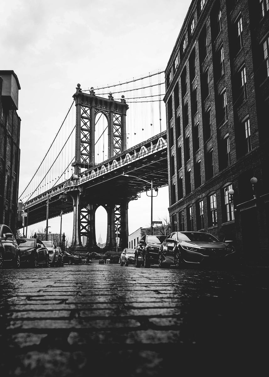 'Dumbo 01' Poster, picture, metal print, paint by Nikita Abakumov ...