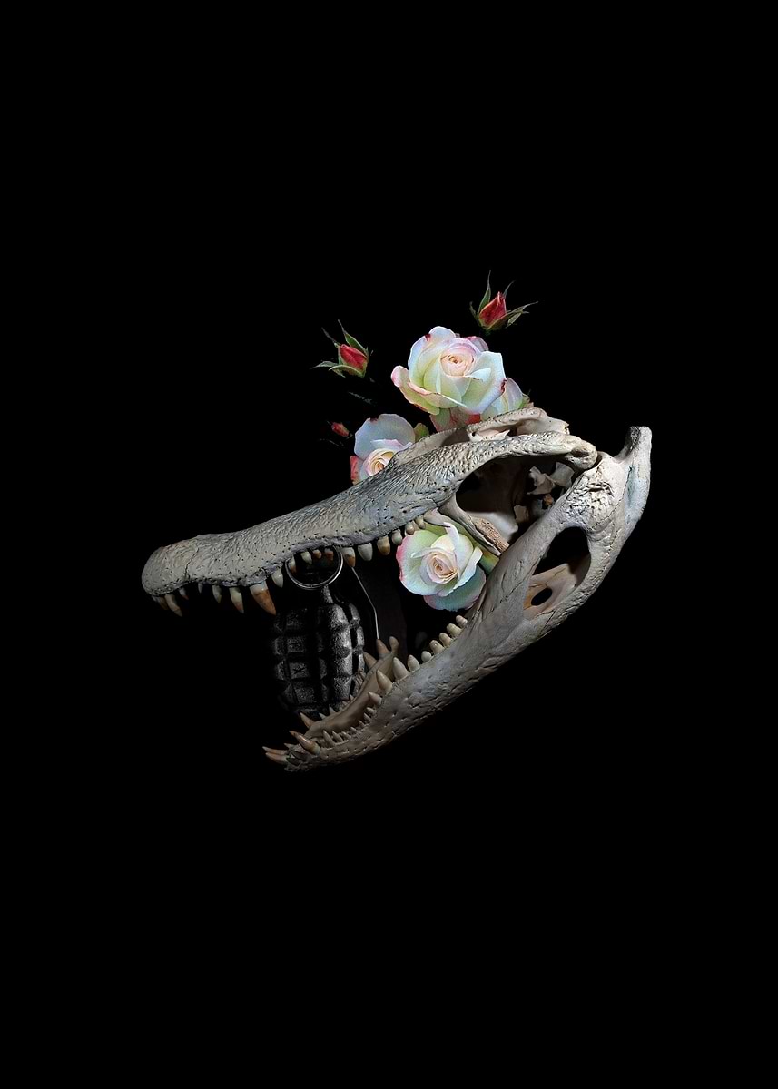 'Croco' Poster, picture, metal print, paint by Jared Hurwitz | Displate