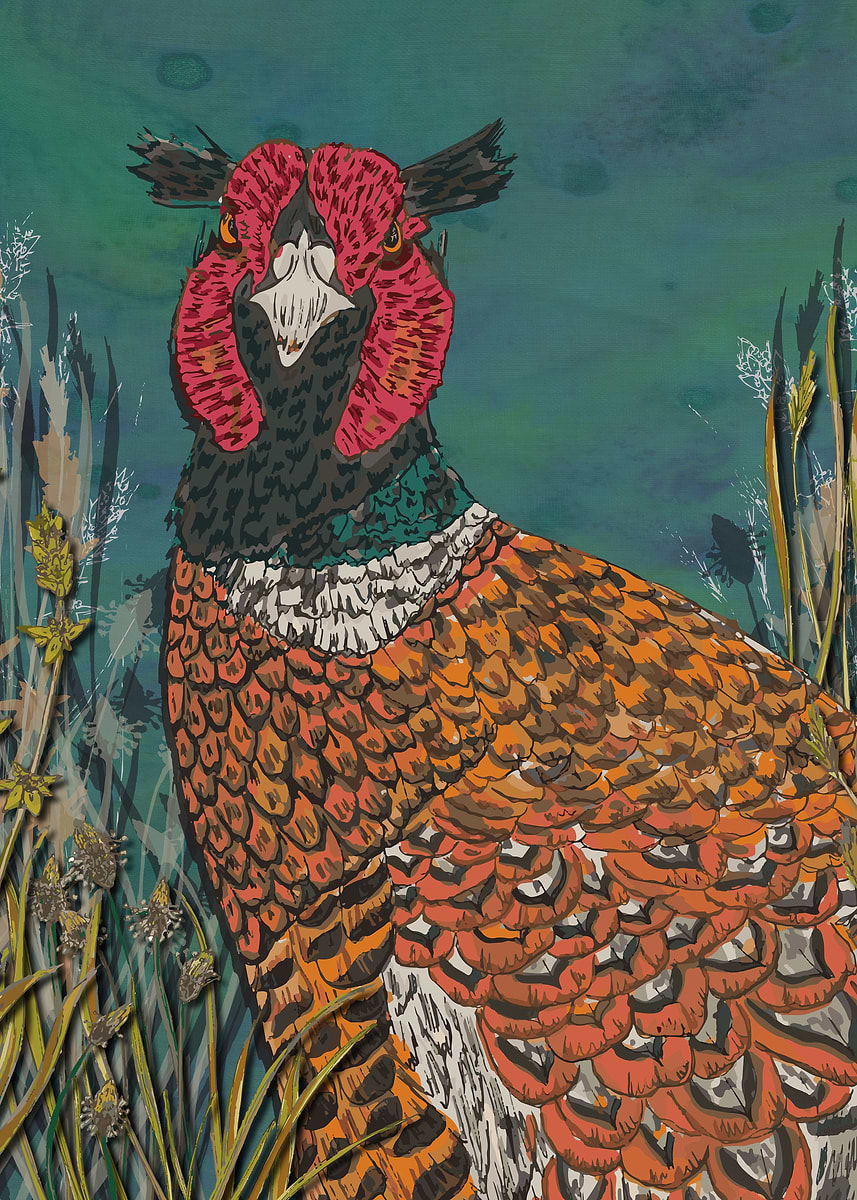 'Funny Pheasant' Poster, picture, metal print, paint by Lotti Brown ...