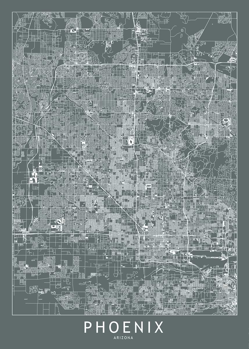 'Phoenix Grey Map' Poster, picture, metal print, paint by Multiplicity ...
