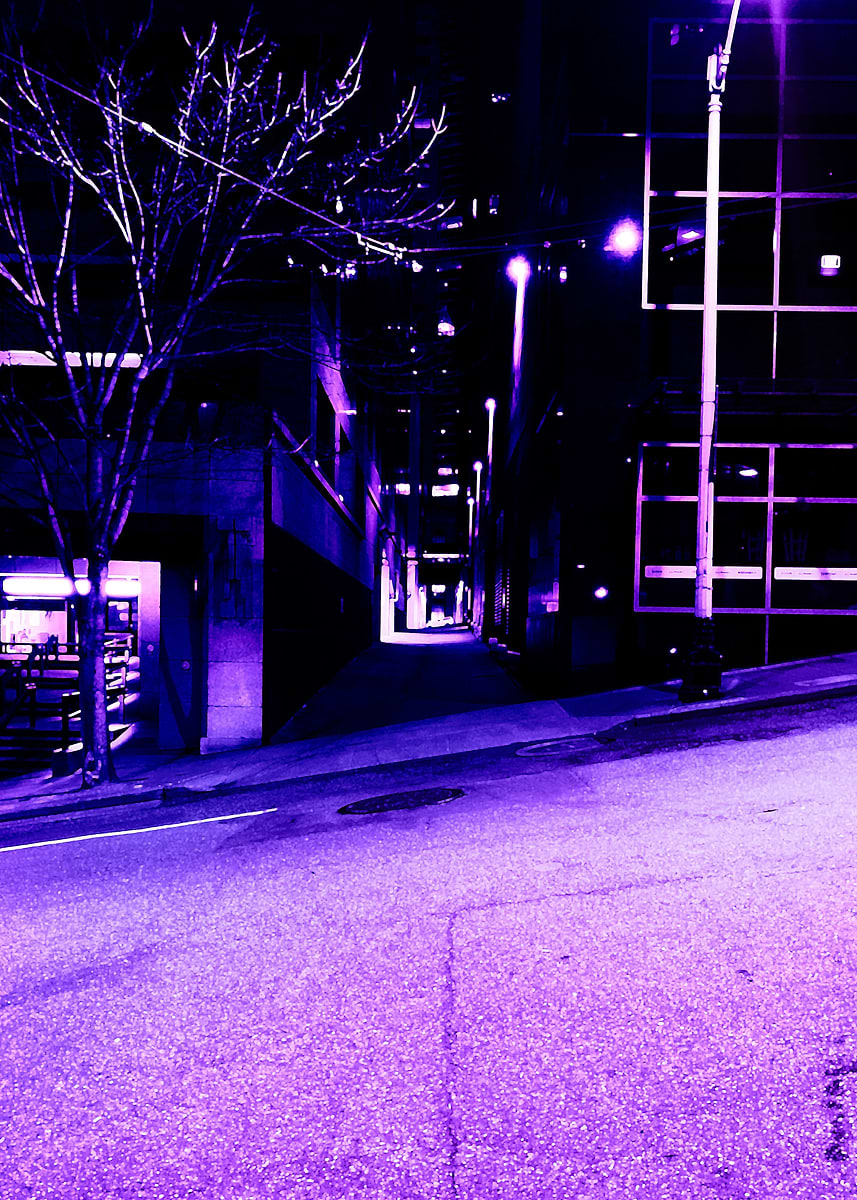 'Tilted Seattle Alley' Poster, picture, metal print, paint by Brian ...