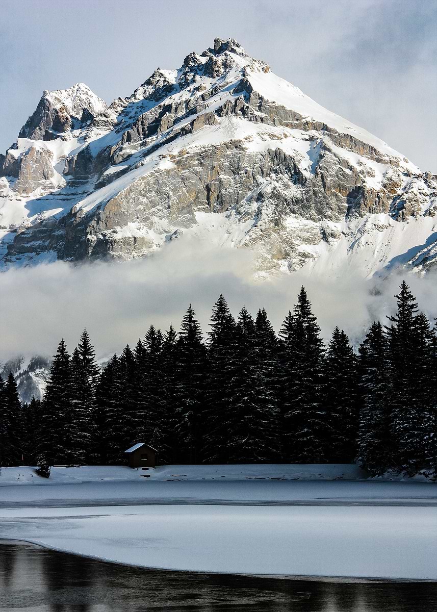 'Frozen' Poster, picture, metal print, paint by Conceptual Photography ...