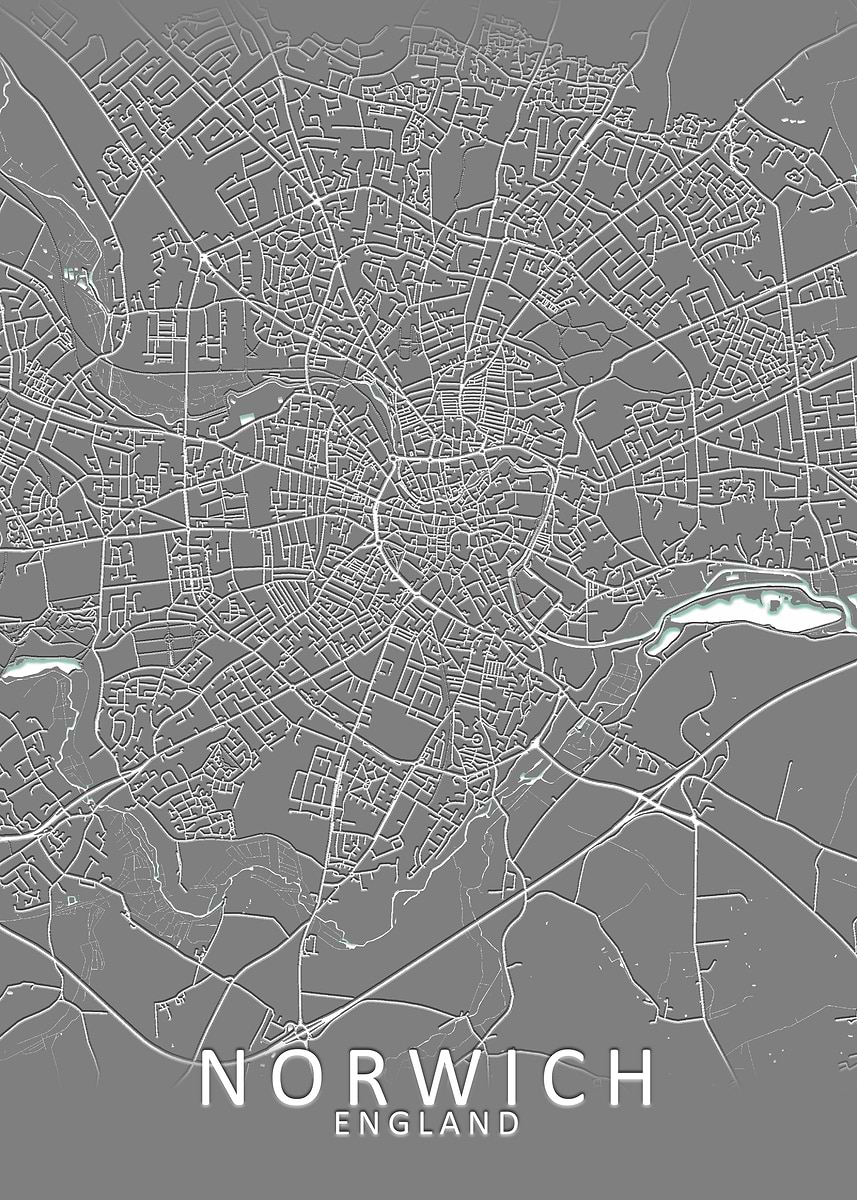 'Norwich Grey City Map' Poster, picture, metal print, paint by City Map ...