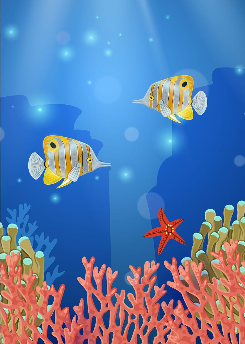 'sea life fish' Poster, picture, metal print, paint by 5c6d06185281d ...