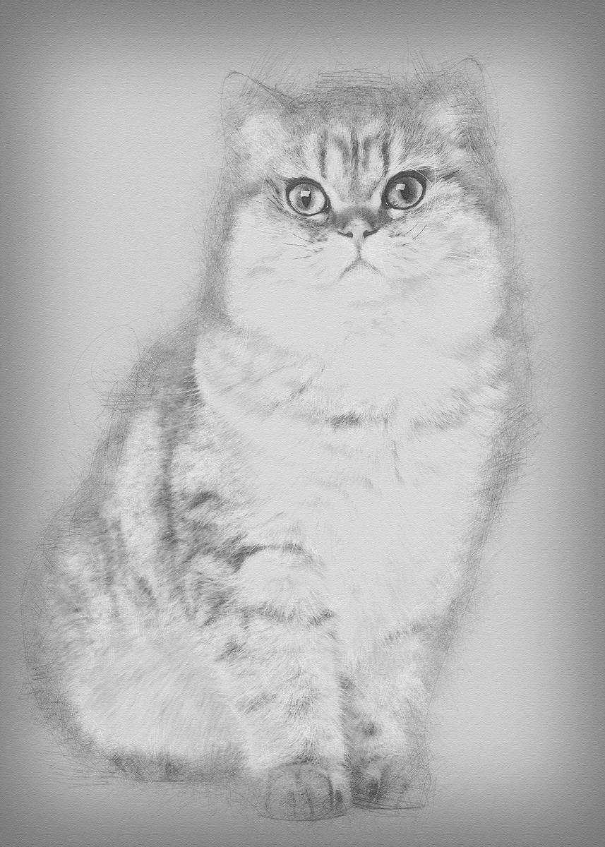 'Golden shaded British shor' Poster, picture, metal print, paint by ...