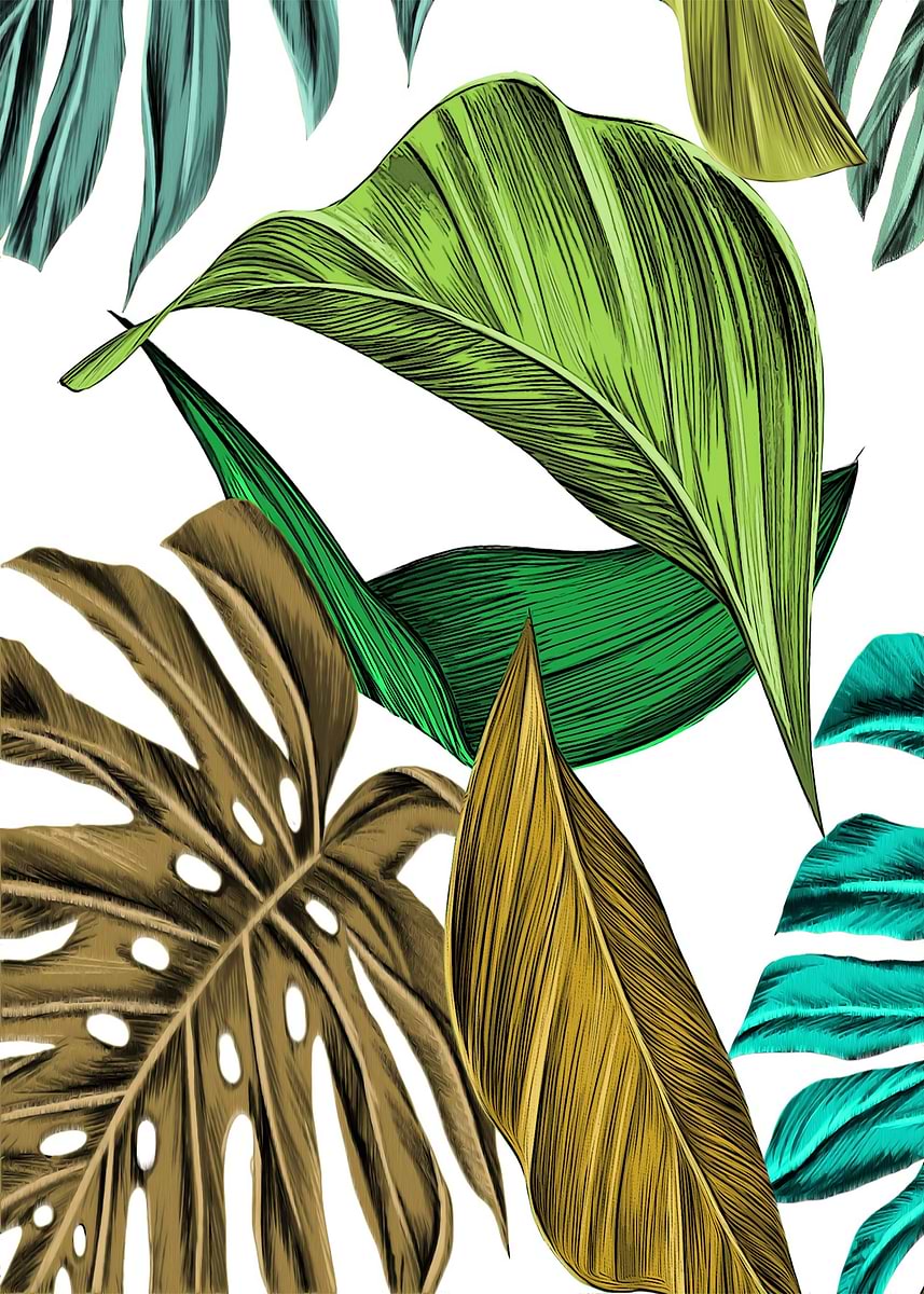 'Tropical leaves' Poster, picture, metal print, paint by Oleg Kudin ...