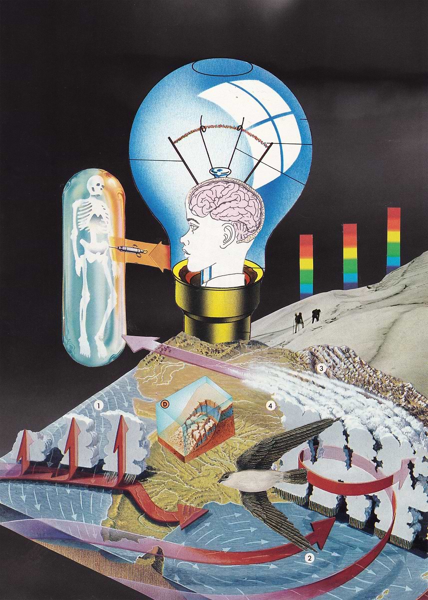 'Drug [collage]' Poster, picture, metal print, paint by Lerson Pannawit ...