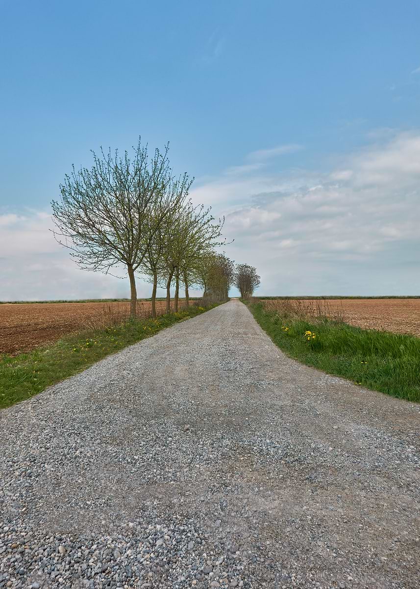 'long road in the field' Poster, picture, metal print, paint by Ornella ...