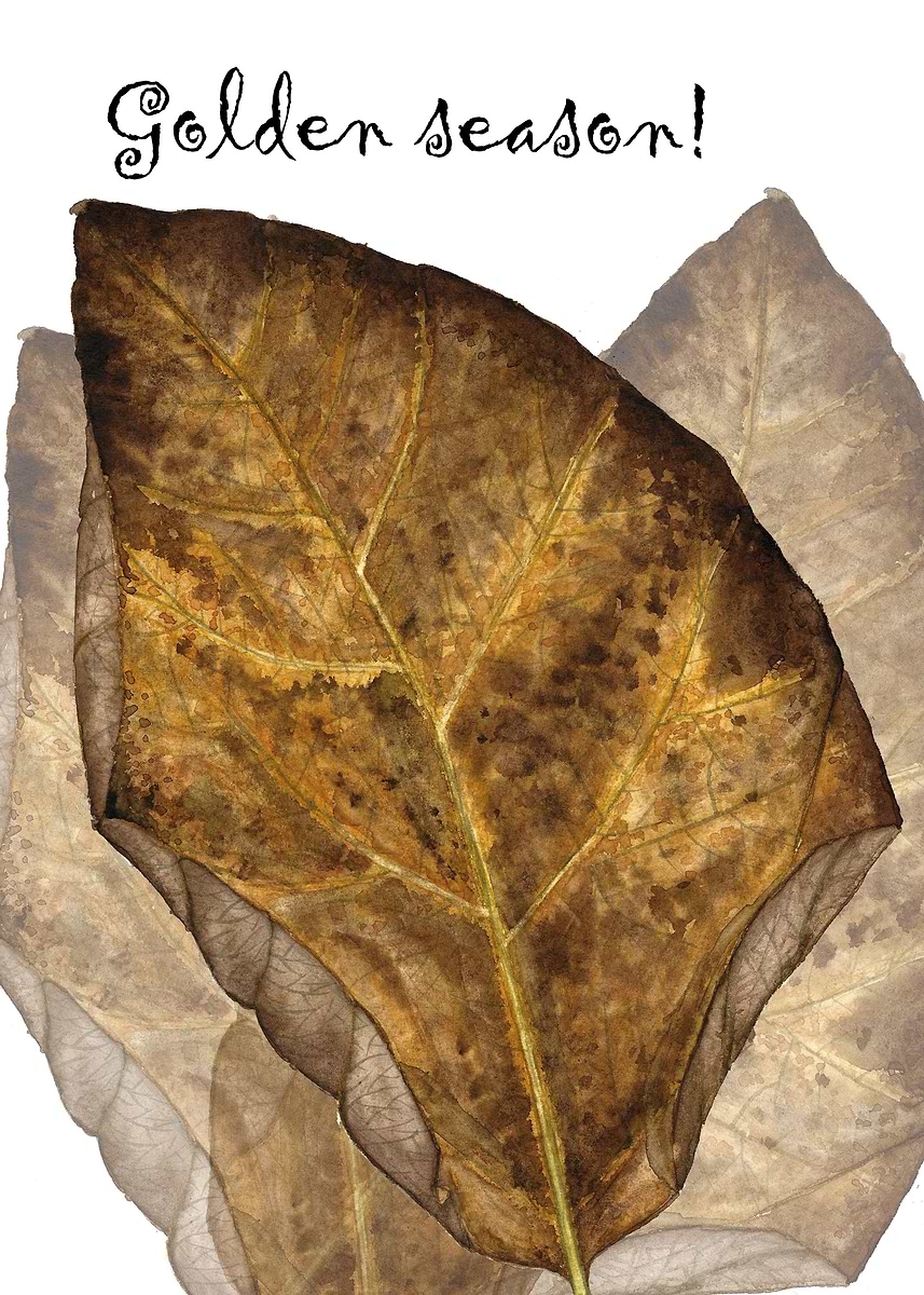 'Dry leaf' Poster, picture, metal print, paint by Yeşim Yaşa | Displate