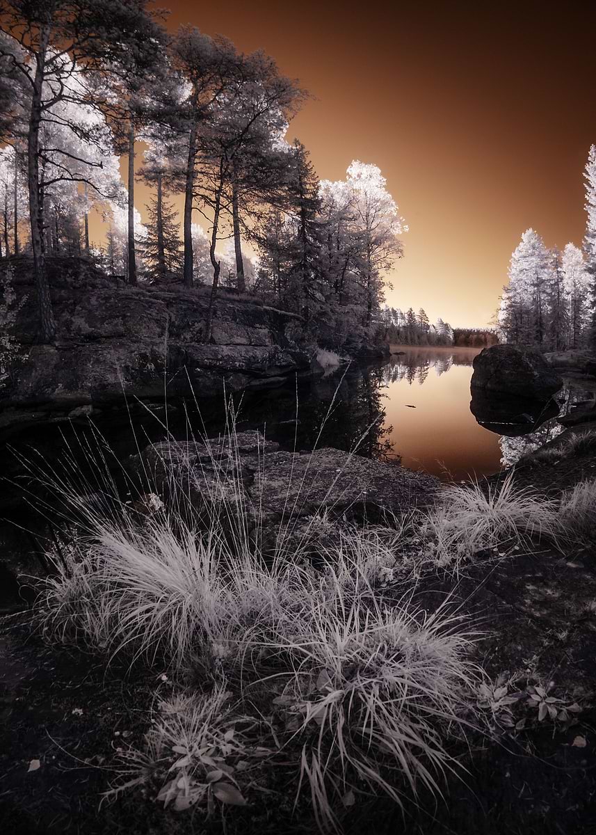'Infrared landscape' Poster, picture, metal print, paint by Pawel Kaim ...