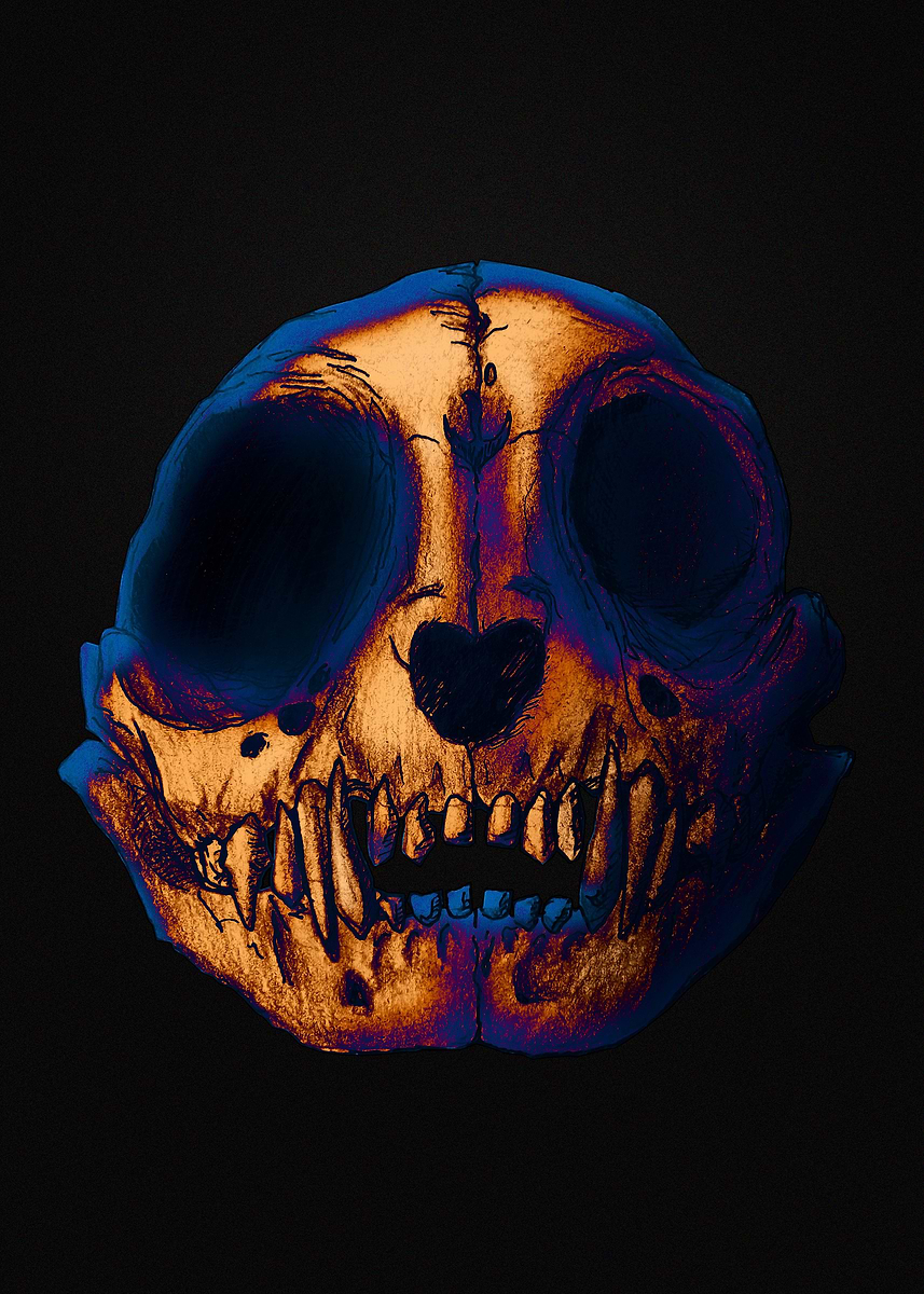 'Small monkey skull colored' Poster, picture, metal print, paint by ...