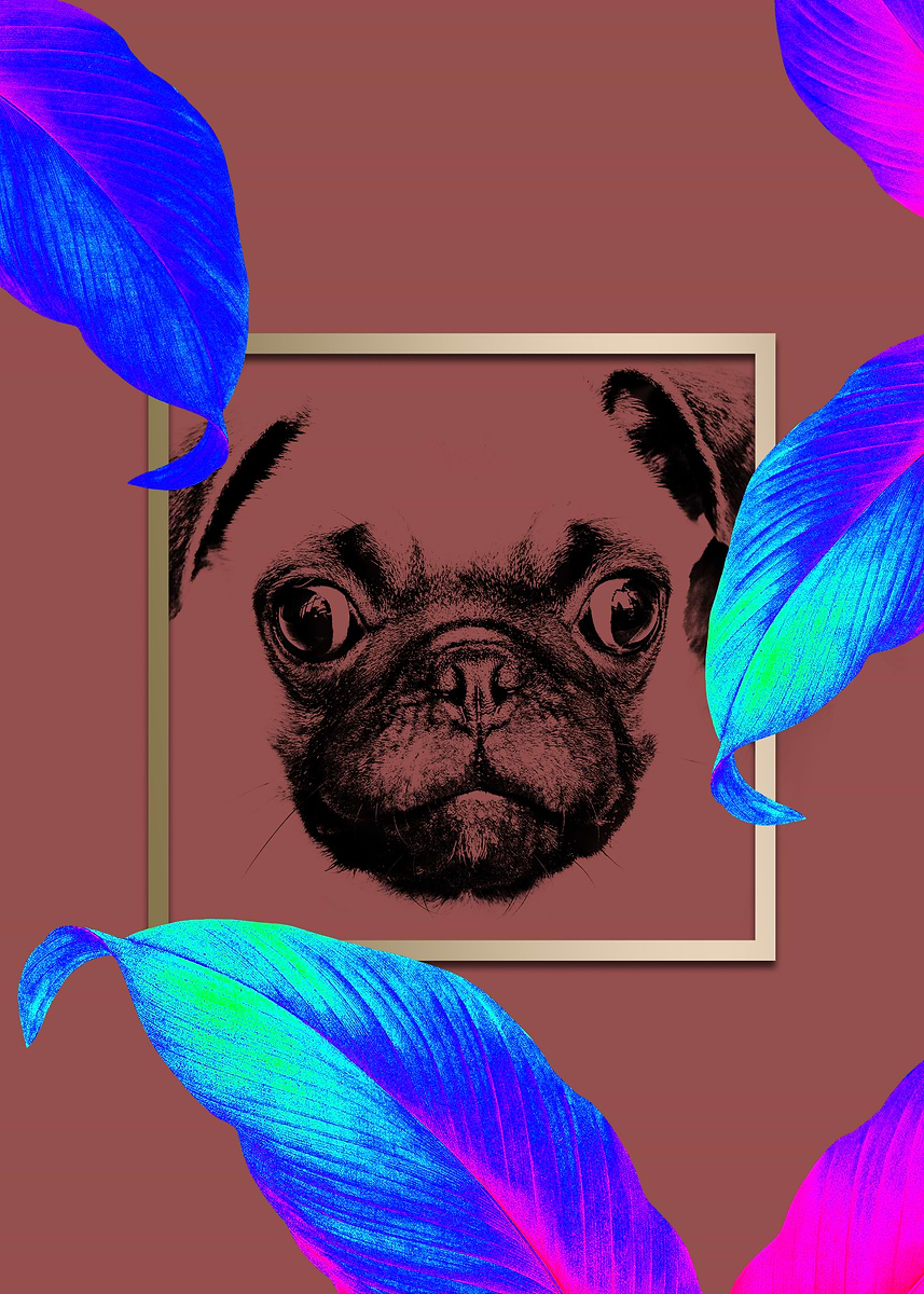 'Colourful Pug Dog Style' Poster, picture, metal print, paint by ...