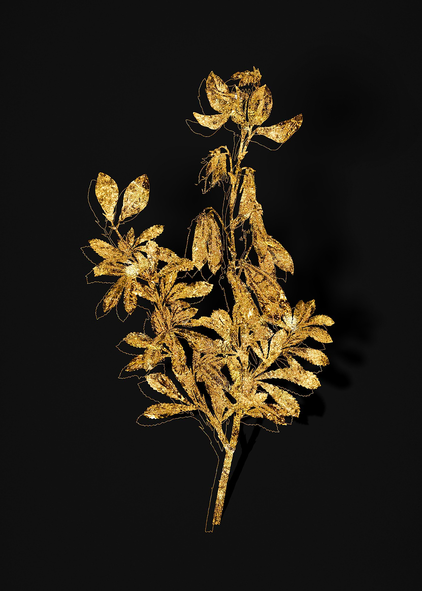 'Gold Botanical on Black' Poster, picture, metal print, paint by Holy ...