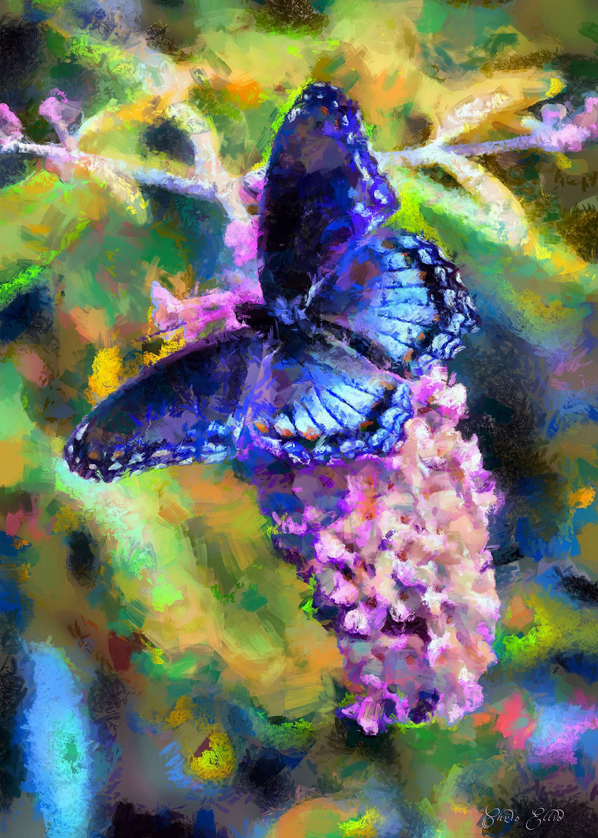 'Butterfly On Flower ' Poster, picture, metal print, paint by Chris ...
