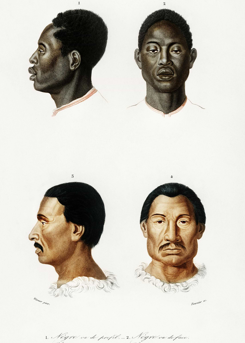 'Human Race Illustrated By ' Poster, picture, metal print, paint by ...