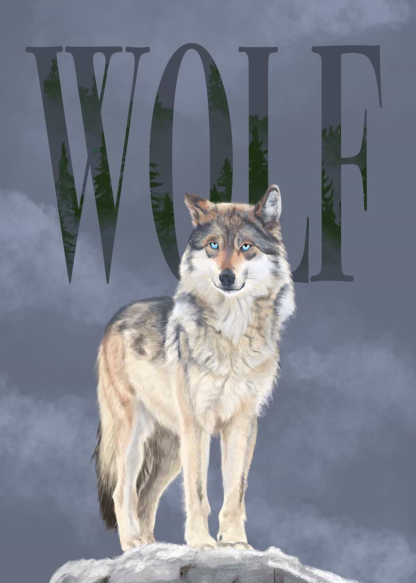 'Wolf' Poster, picture, metal print, paint by fabiococcoillustrator ...