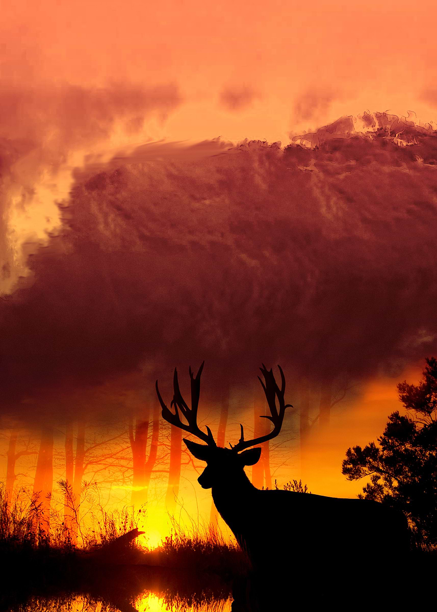 'Deer fear' Poster, picture, metal print, paint by Miel basha | Displate