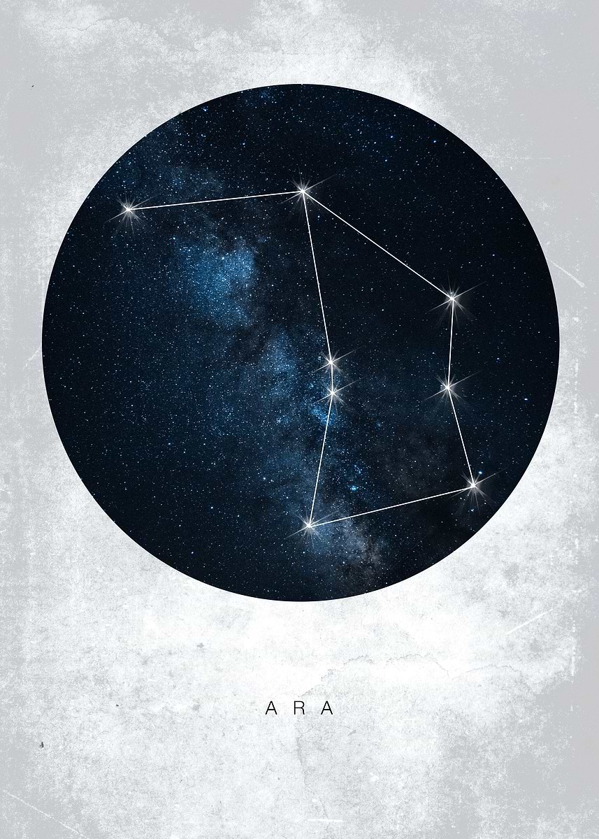 'Ara' Poster, picture, metal print, paint by Xavier Vieira | Displate