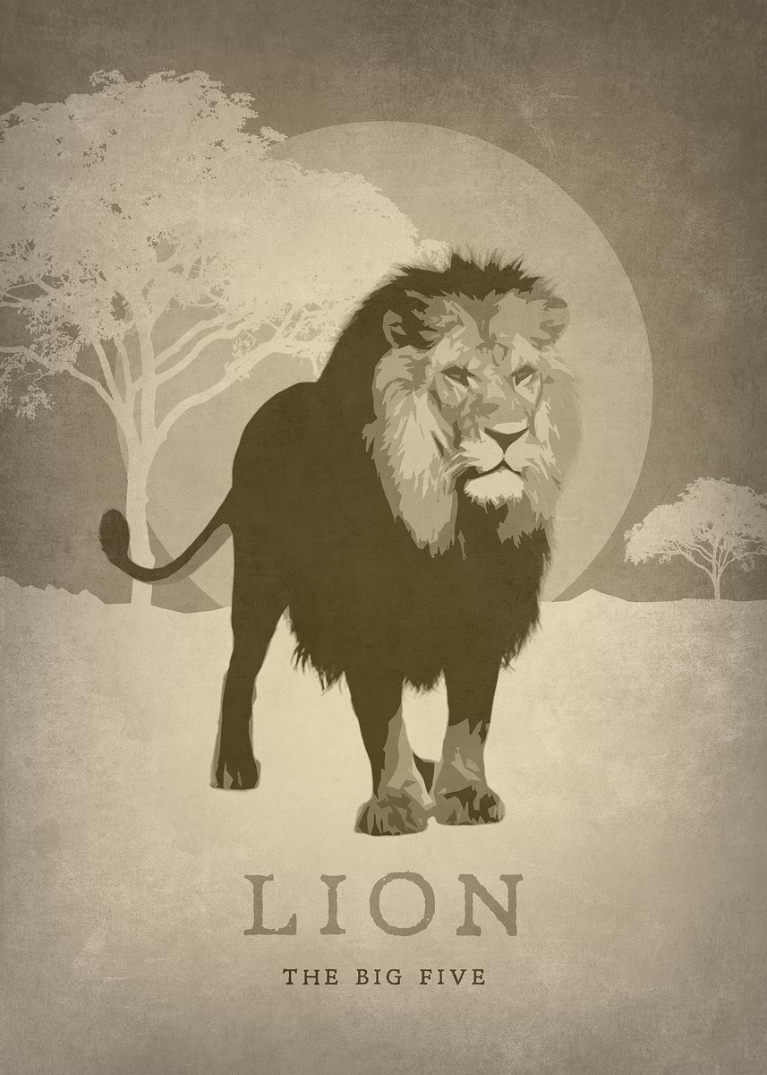 'Lion' Poster, picture, metal print, paint by BB Design | Displate