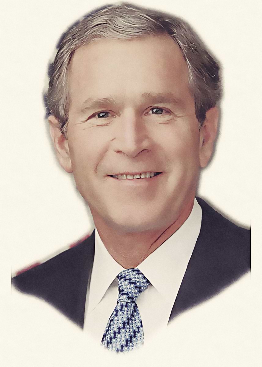 'George W Bush' Poster, picture, metal print, paint by Mobilunik | Displate