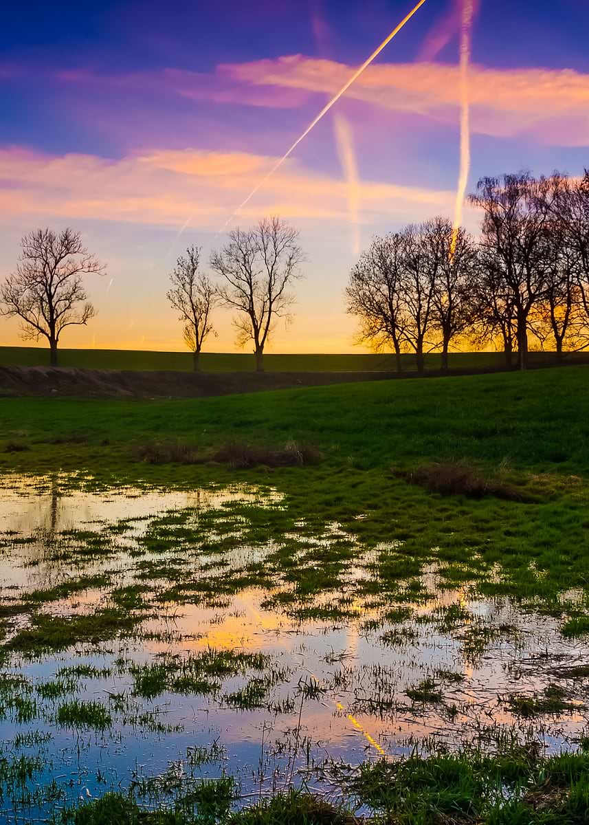 'Field With Puddles' Poster, picture, metal print, paint by Stunning ...