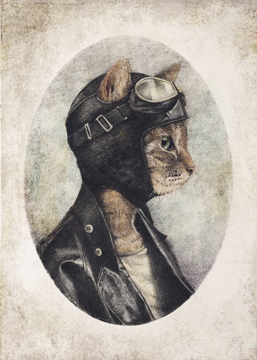 'Pilot' Poster, picture, metal print, paint by Mike Koubou | Displate