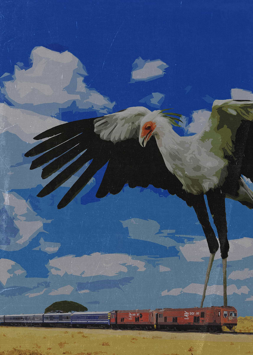 'SECRETARY BIRD' Poster, picture, metal print, paint by Daniel Burt ...
