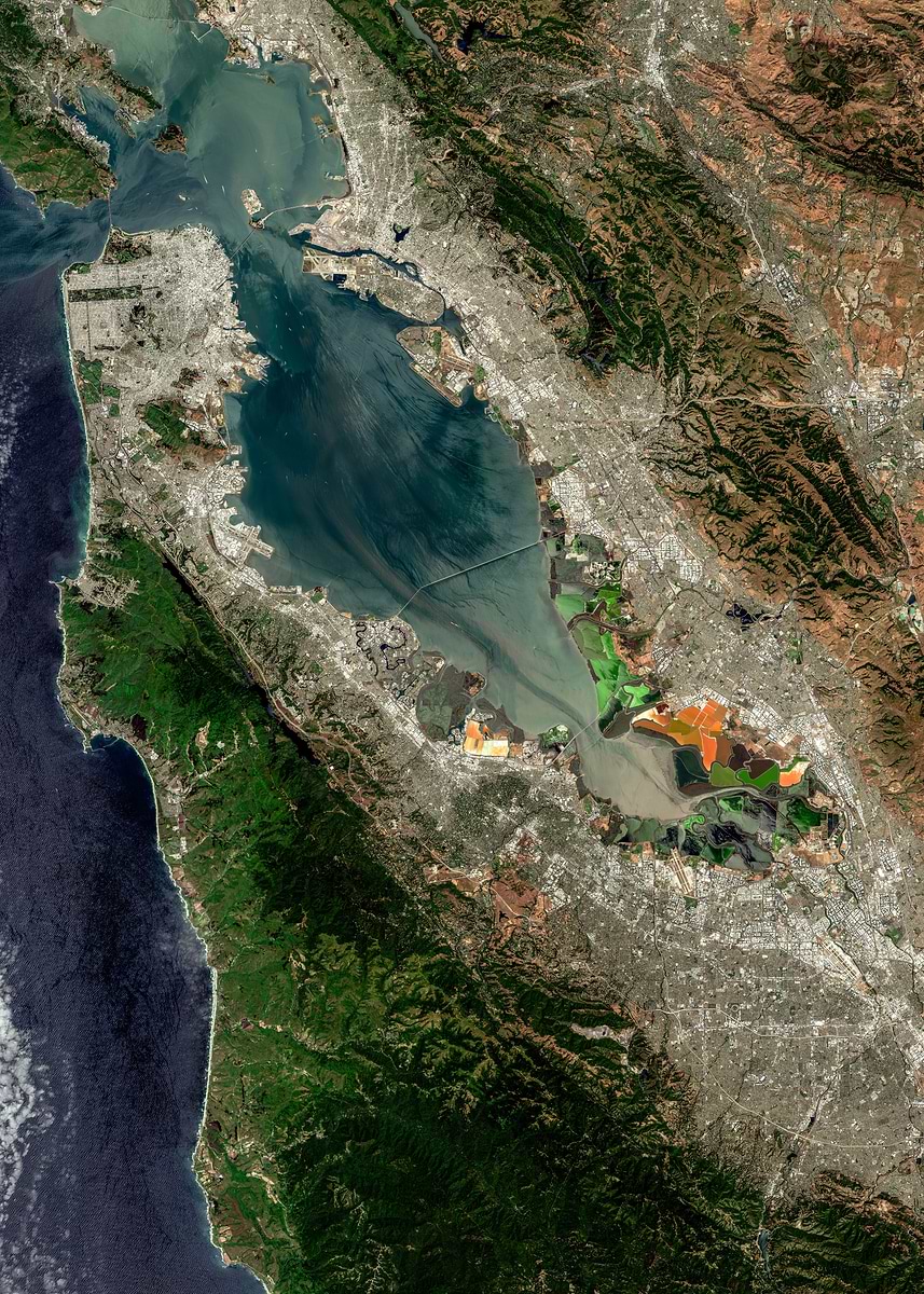 'San Francisco Bay' Poster, picture, metal print, paint by intrepix ...