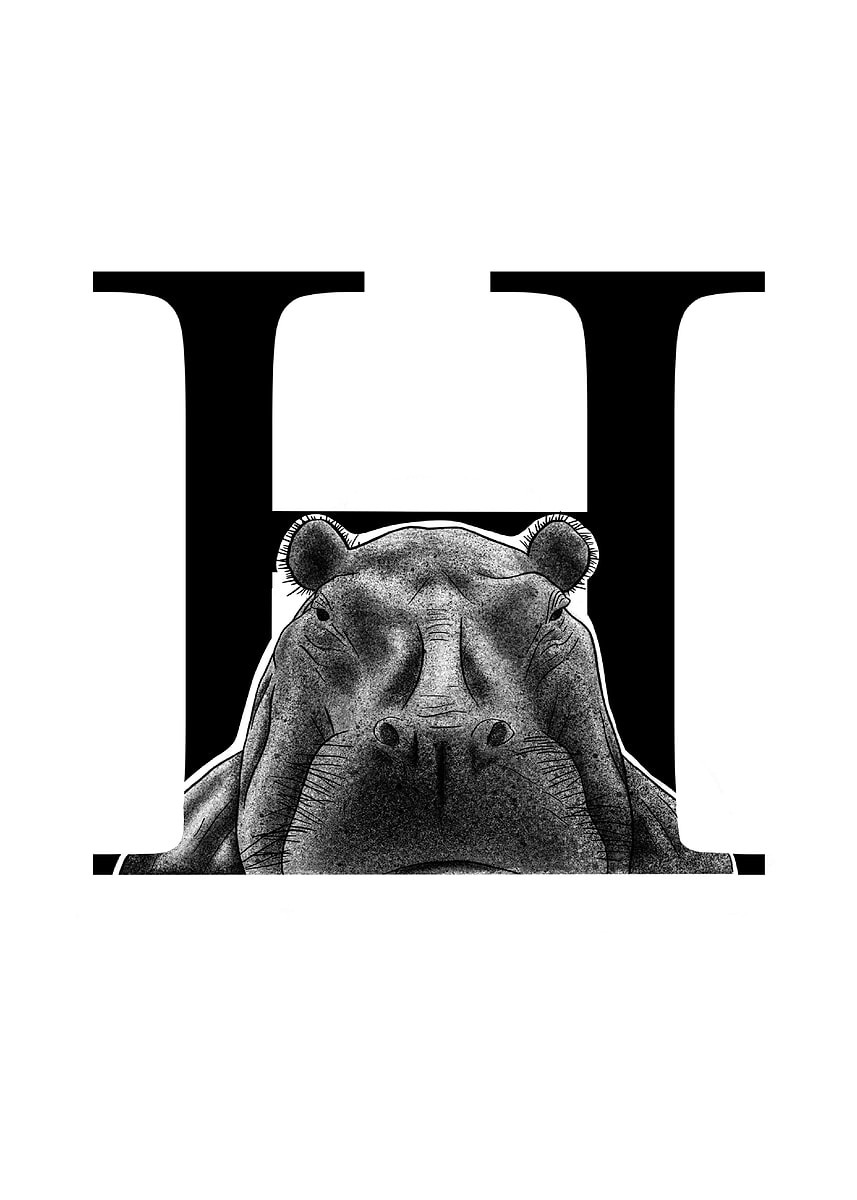 'H is for Hippopotamus' Poster, picture, metal print, paint by ...