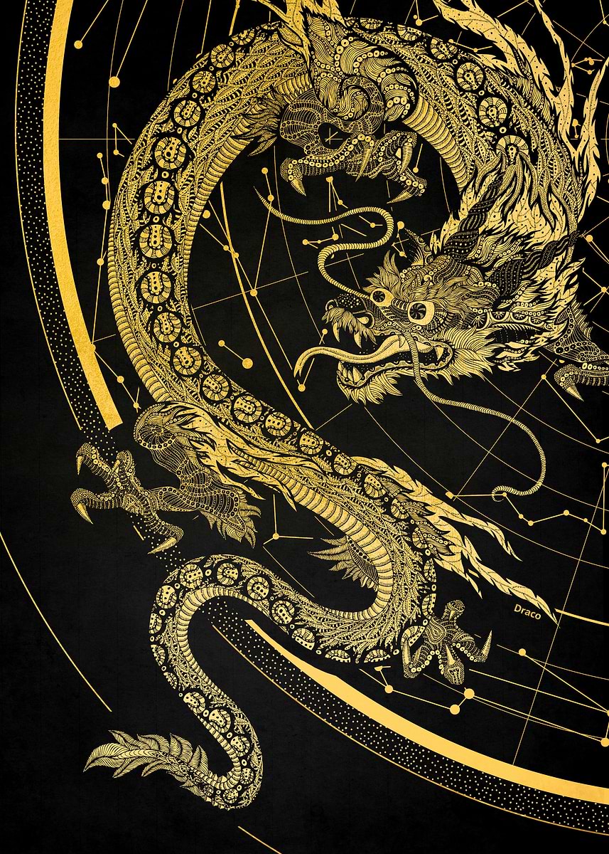 'Draco' Poster, picture, metal print, paint by Woo Hoo | Displate