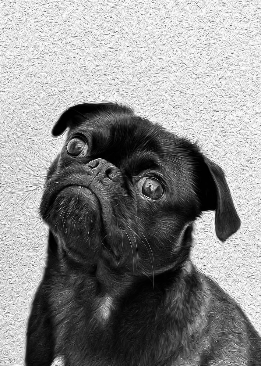 'Concerned Pug' Poster, picture, metal print, paint by Wall Art ...