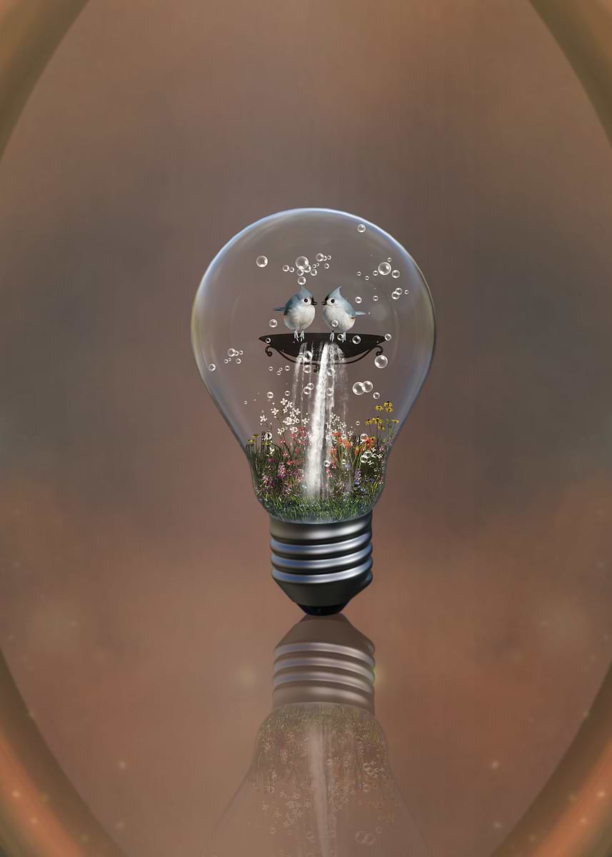'Ligh bulb with birds' Poster, picture, metal print, paint by Heike ...