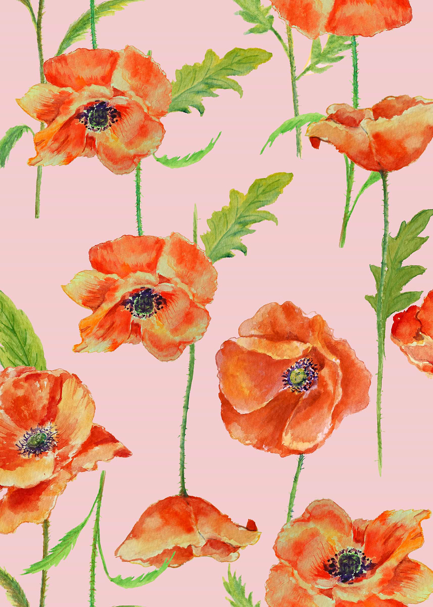 'Pink Poppy Pattern 07' Poster, picture, metal print, paint by Aloke ...