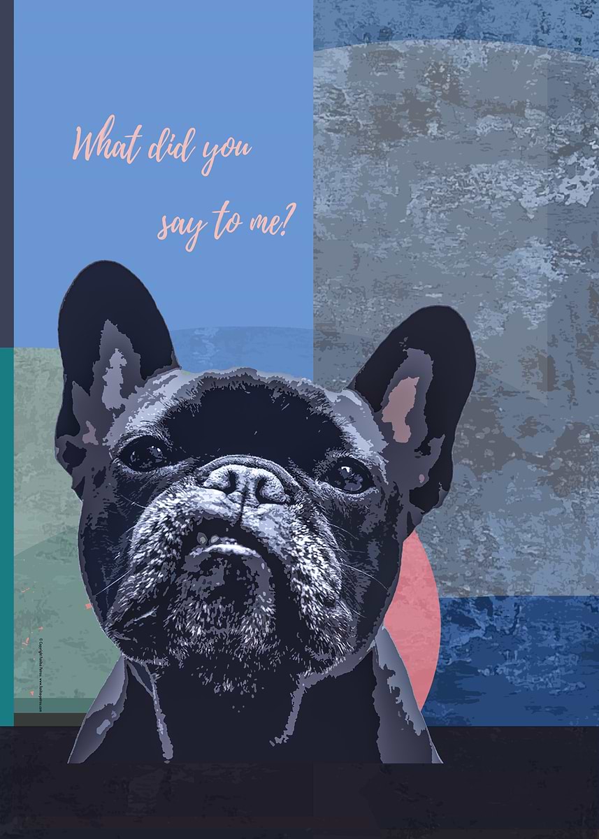 'Angry Boston Terrier' Poster, picture, metal print, paint by Fanitsa ...
