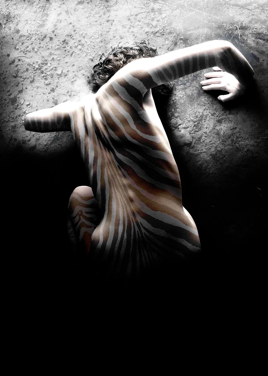 'Reincarnation' Poster, picture, metal print, paint by BMDUK | Displate