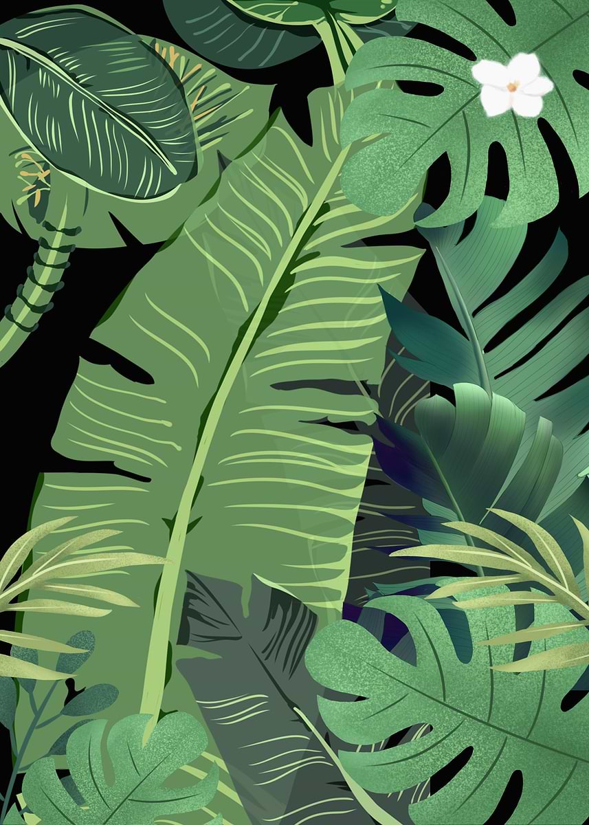 'Tropical leaves floral' Poster, picture, metal print, paint by Max ...