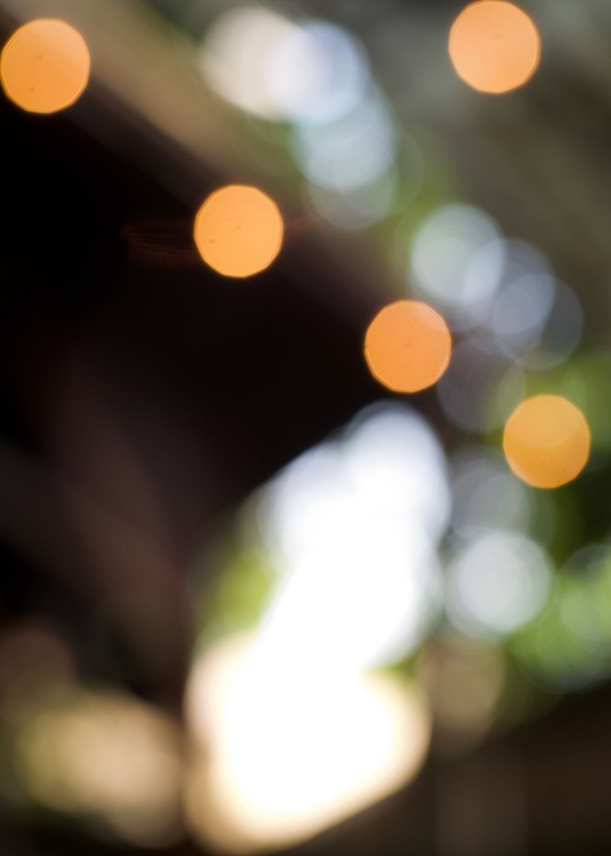 'HAVANA BOKEH II' Poster, picture, metal print, paint by Daniel Pastor ...