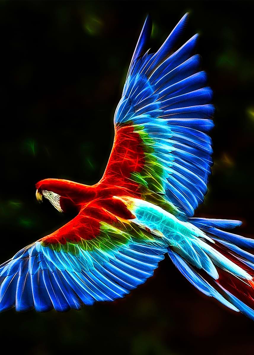 'Parrot fractal' Poster, picture, metal print, paint by Ranking | Displate