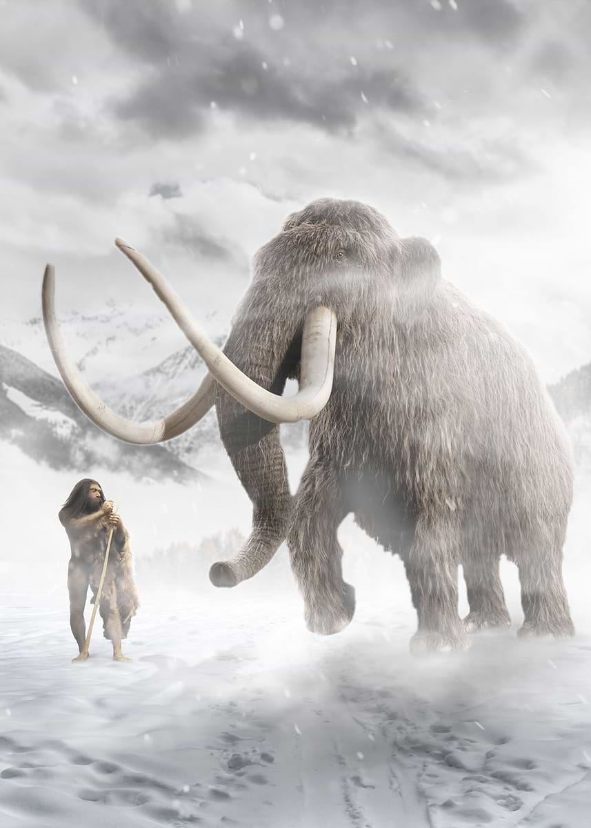 'The Mammut' Poster, picture, metal print, paint by Zenz | Displate